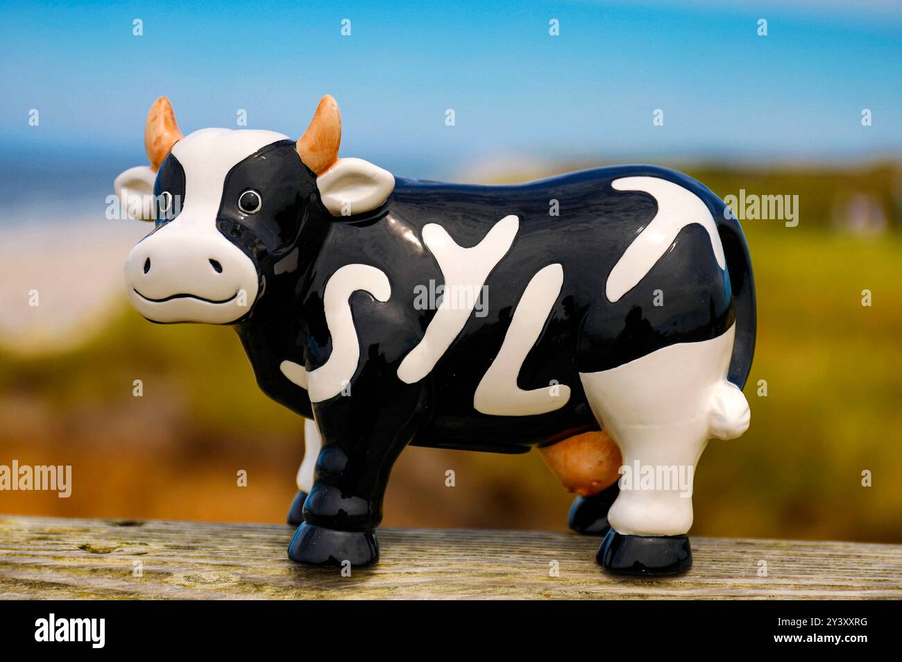 Syltkuh - Sylt ist eine Insel in der Nordsee und ein beliebtes ...