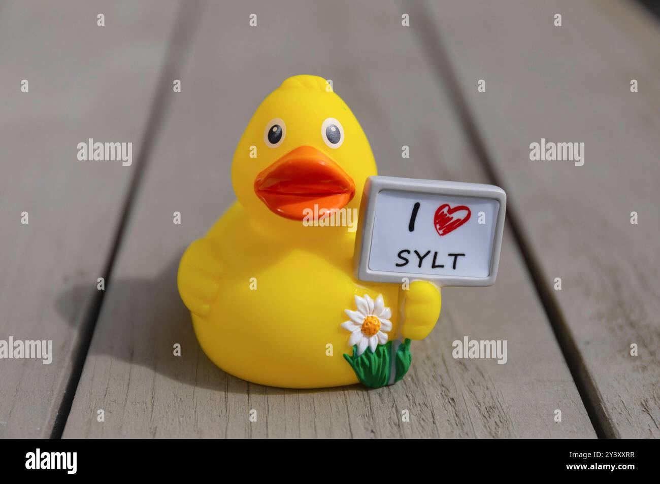 Sylt- Quietscheentchen - Sylt ist eine Insel in der Nordsee und ein ...