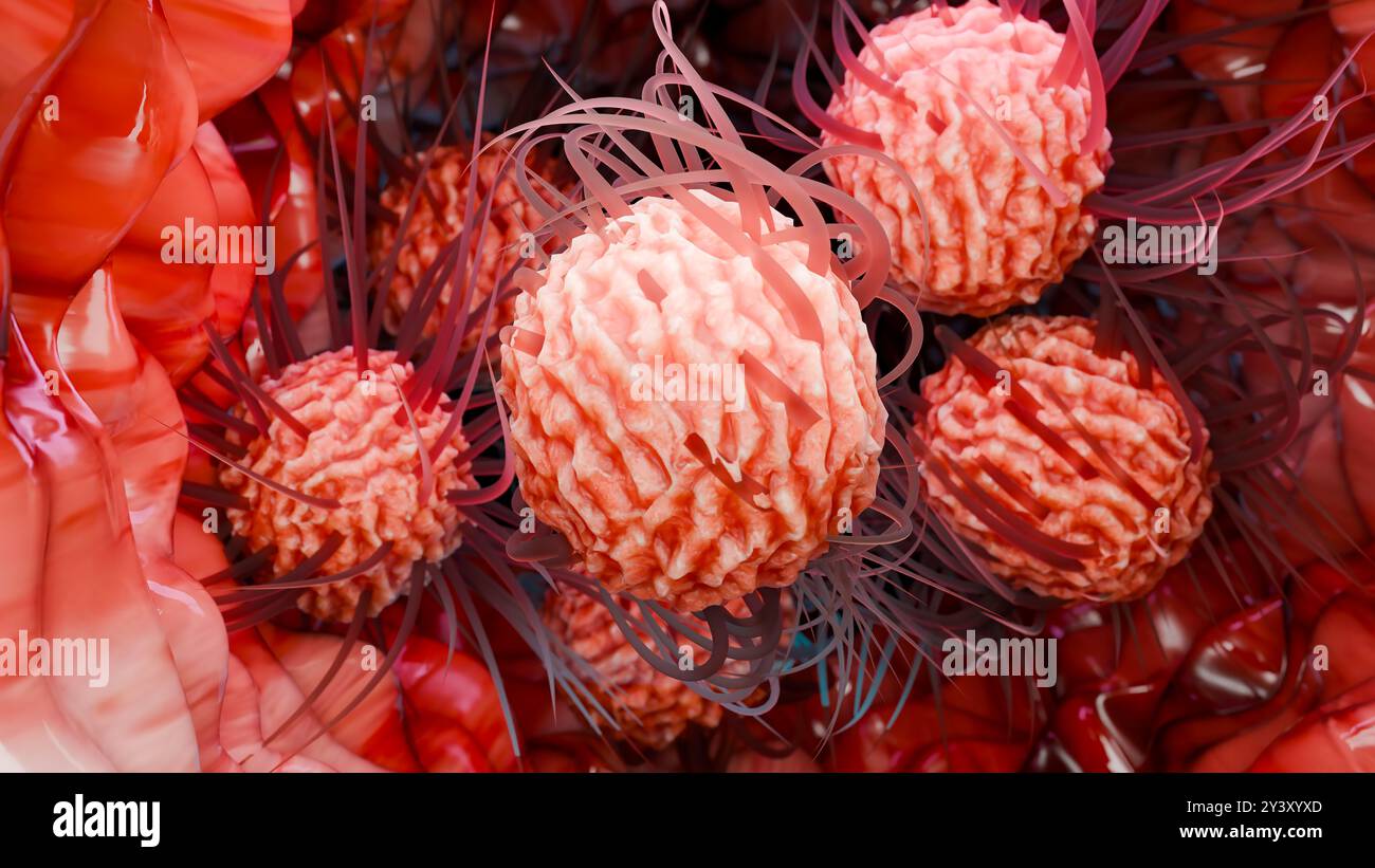 Lactobacillus bacteria microscope hi-res stock photography and images - Alamy