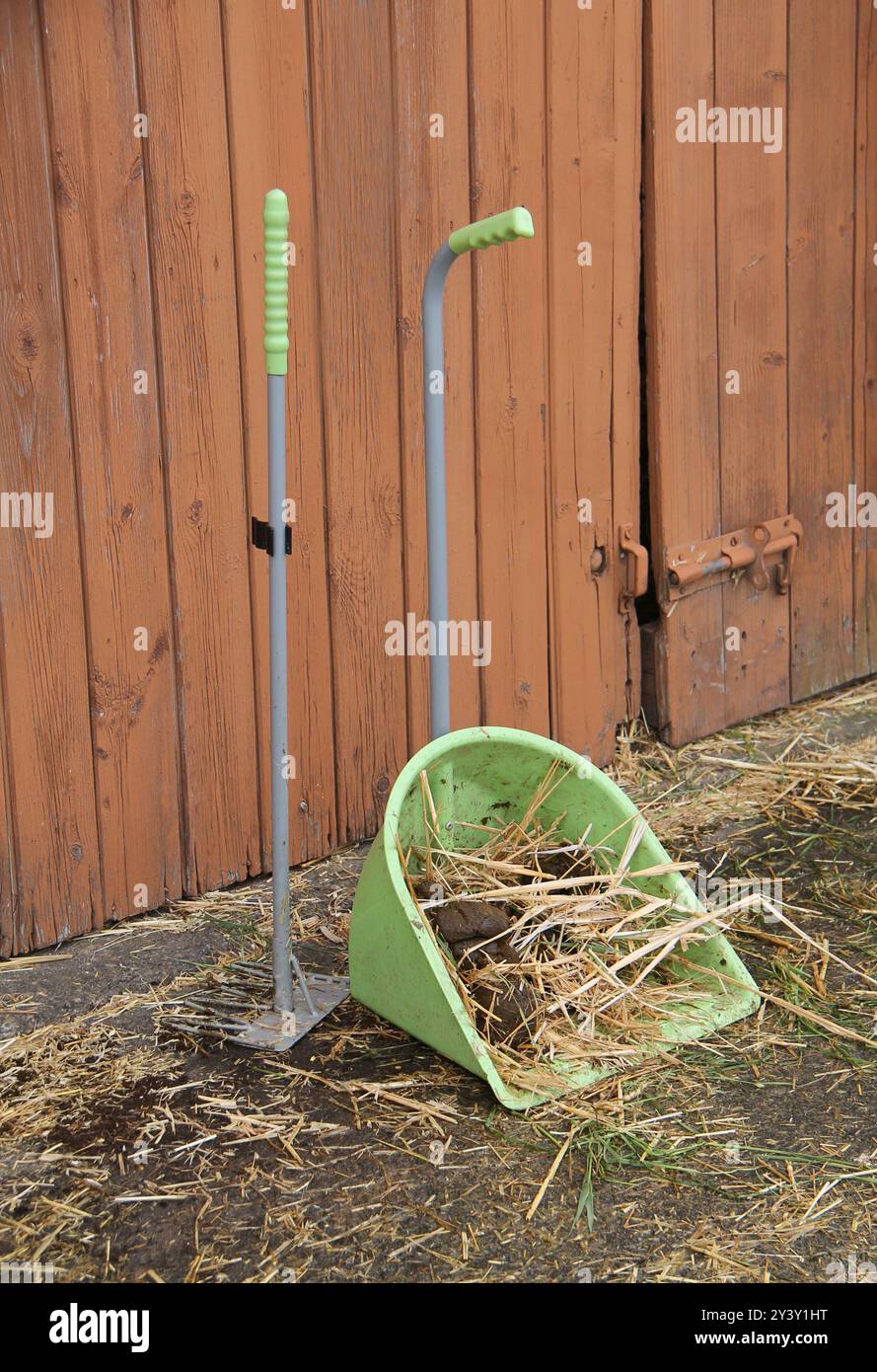 A Bucket and Rake for Collecting Horse Muck at a Stable Stock Photo - Alamy