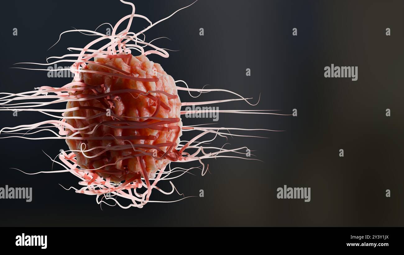 Peritrichous Bacteria with lot of flagellum, harmful bacillus with long tails, prokaryote ...