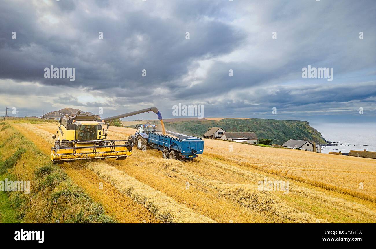 Combine Harvester Gardenstown Aberdeenshire Scotland harvester loading ...