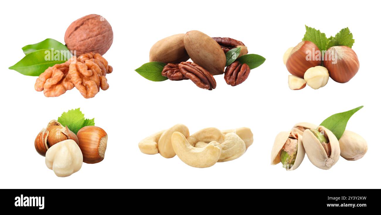 Different nuts on white background, collection. Pecan, walnut, hazelnut ...