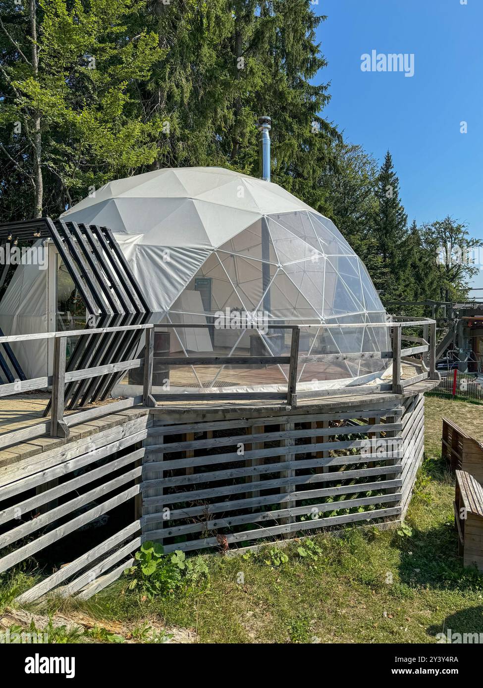 Modern geodesic dome located in a serene forest setting for eco ...