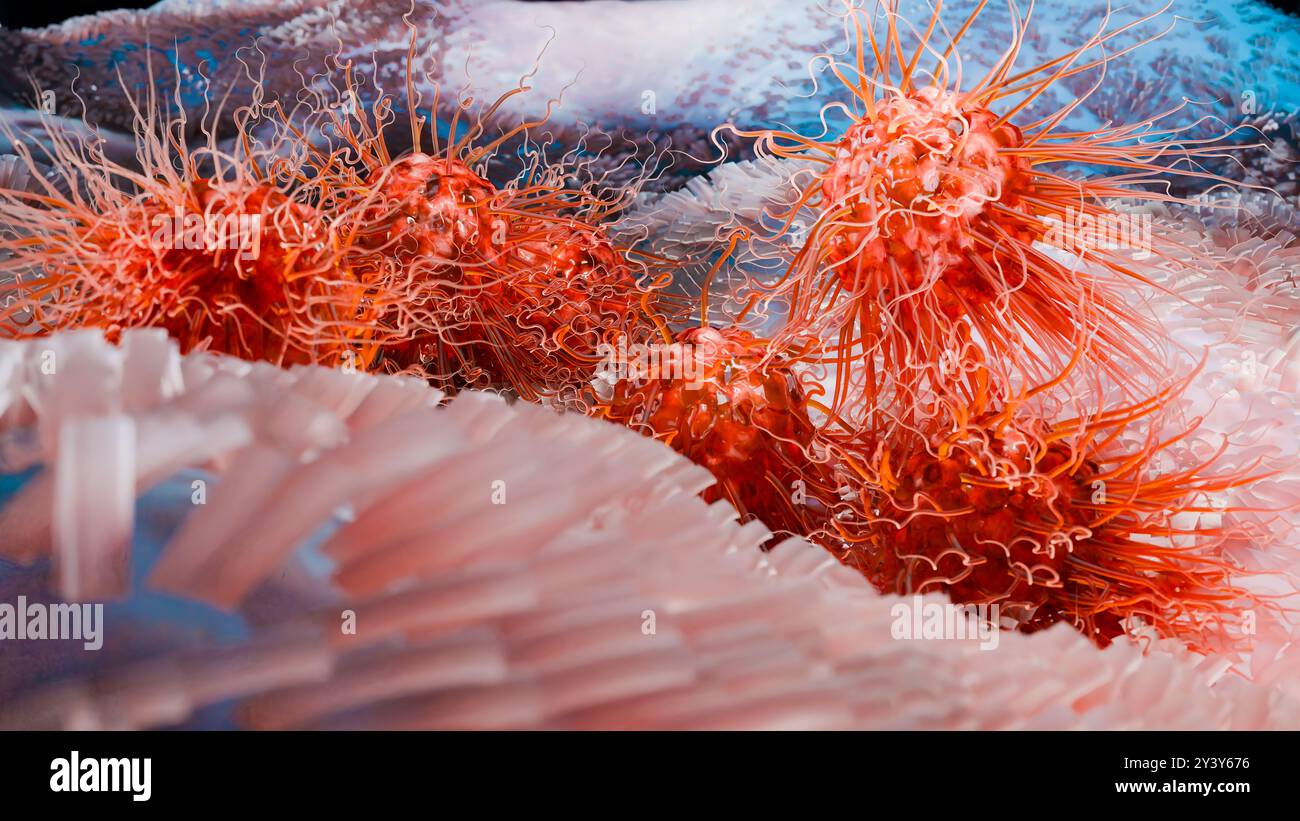 Peritrichous Bacteria with lot of flagellum, harmful bacillus with long tails, prokaryote ...