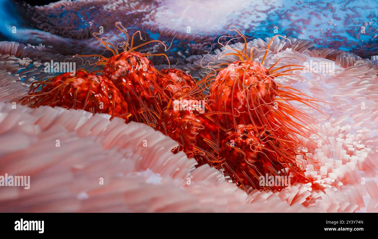 Bacterial tail hi-res stock photography and images - Alamy