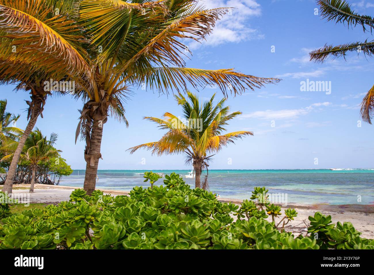 Beach vacation spot in Ambergris Caye Stock Photo - Alamy