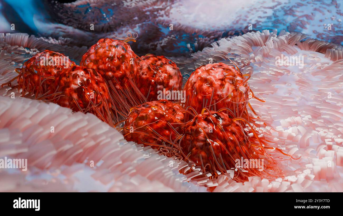 Peritrichous Bacteria with lot of flagellum, harmful bacillus with long ...