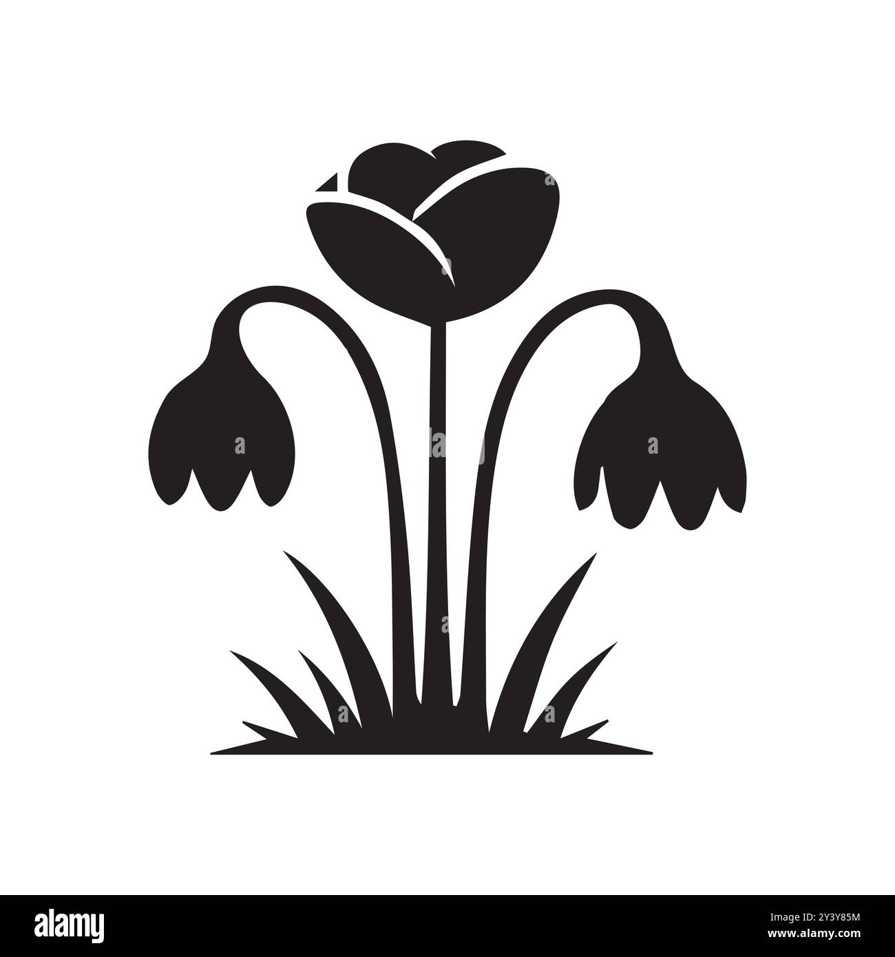 Hand-drawn snowdrop flowers silhouette vector illustration on a white ...