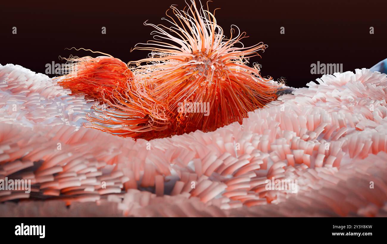 Peritrichous Bacteria with lot of flagellum, harmful bacillus with long tails, prokaryote ...