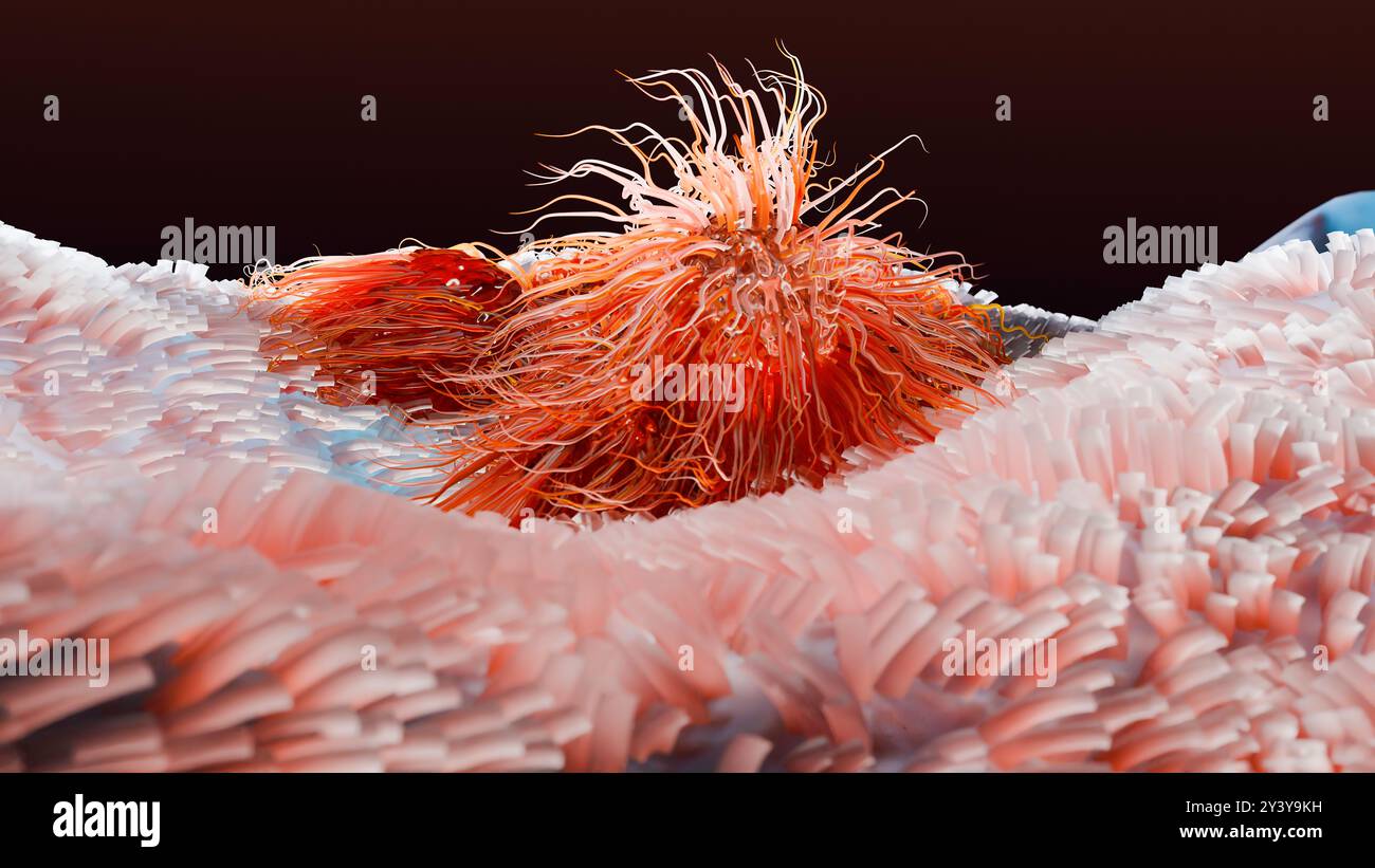 Peritrichous Bacteria with lot of flagellum, harmful bacillus with long tails, prokaryote ...