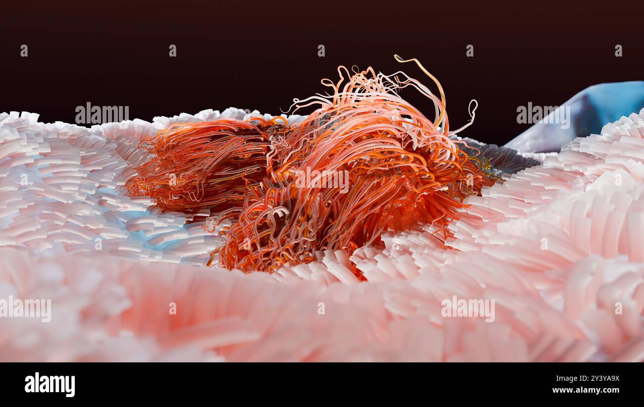 Peritrichous Bacteria with lot of flagellum, harmful bacillus with long ...