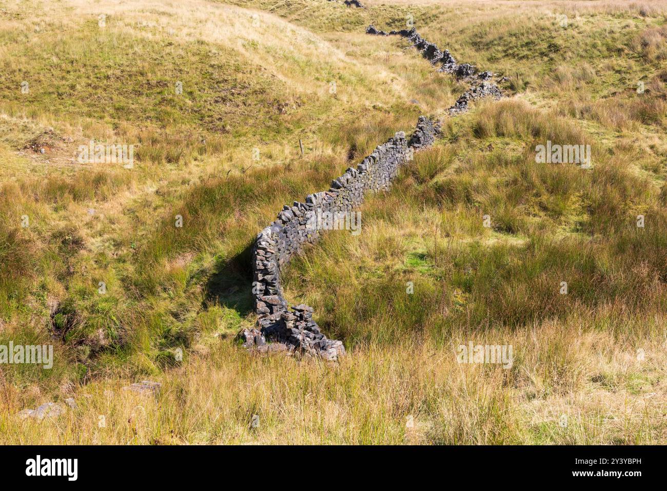 Ancient stone wall meandering through a grassy moorland hillside ...