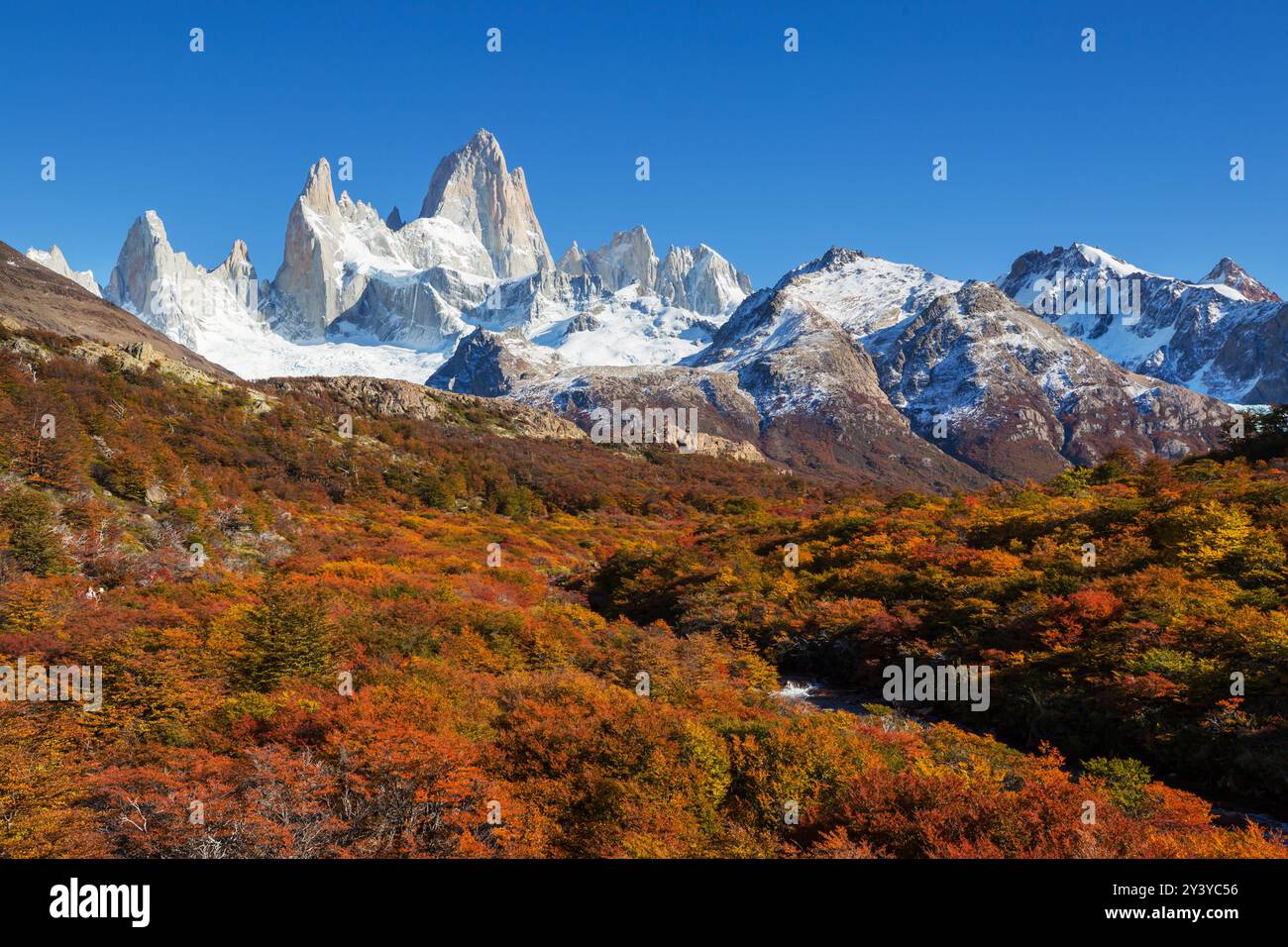 Famous Cerro Fitz Roy and Cerro Torre- one of the most beautiful and ...