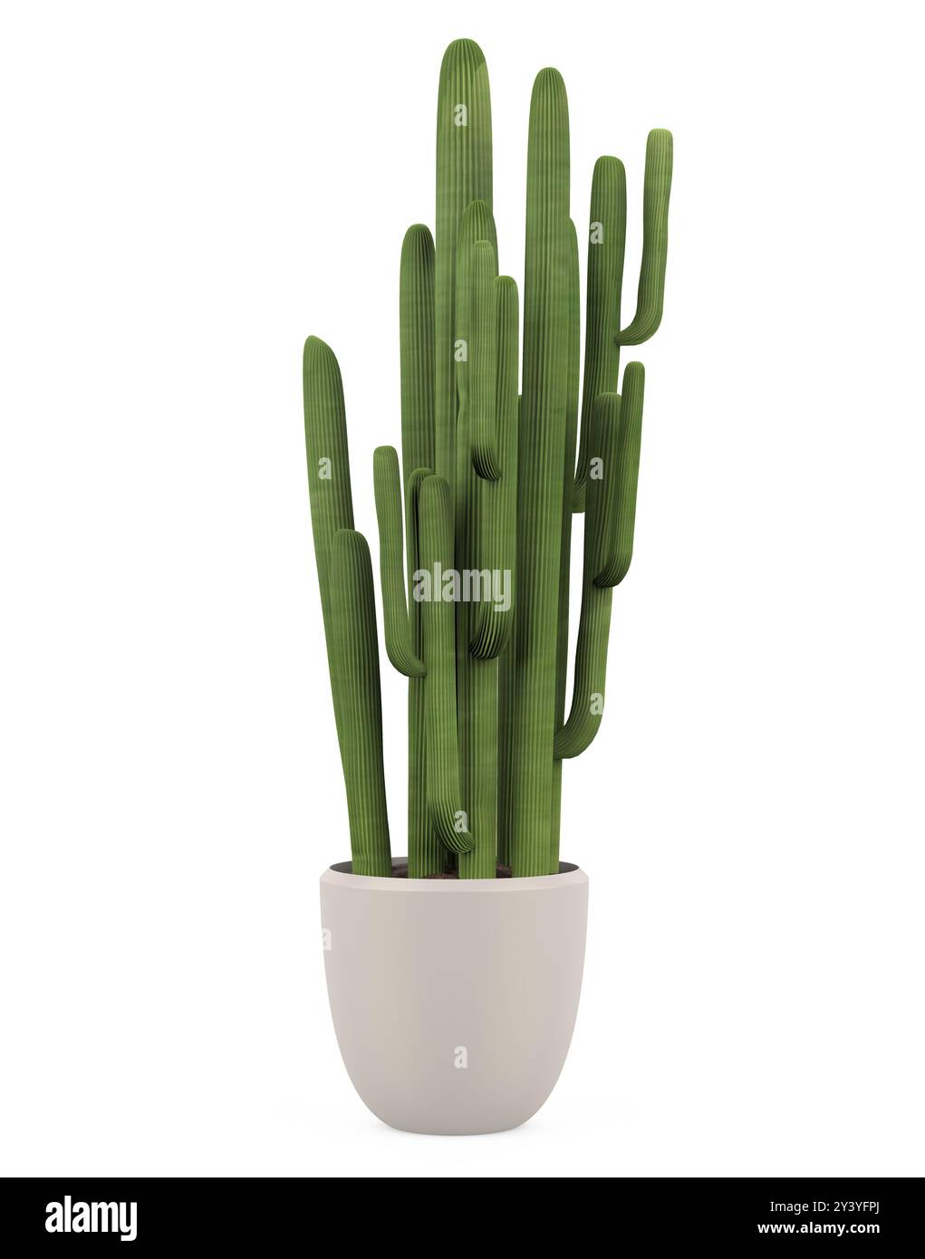 Cactus tree summer Cut Out Stock Images & Pictures - Alamy