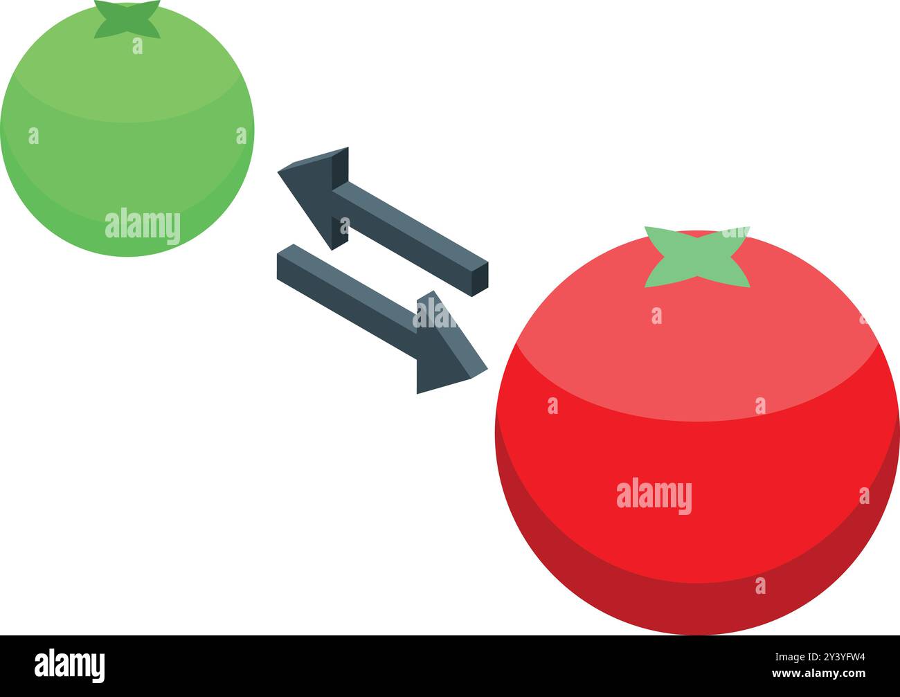 3d isometric illustration of a green tomato transforming into a red ...