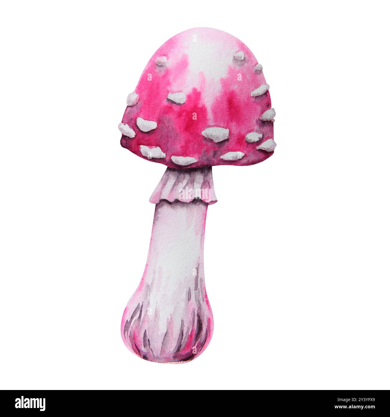 Pink fly agaric, poisonous mushroom. Watercolor hand drawn illustration ...