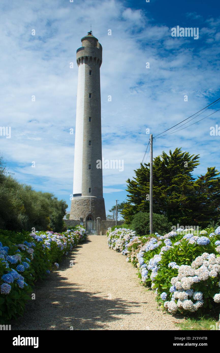 Hydrangea garden with a lighthouse in the background,Phare de Trézien ...