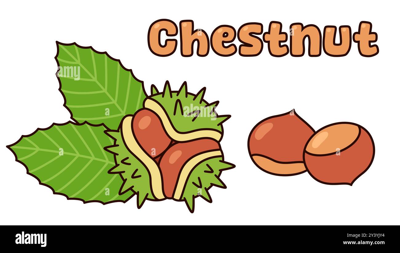 Chestnut hand drawn doodle. Leaves, spiky shells and nuts. Cute cartoon ...