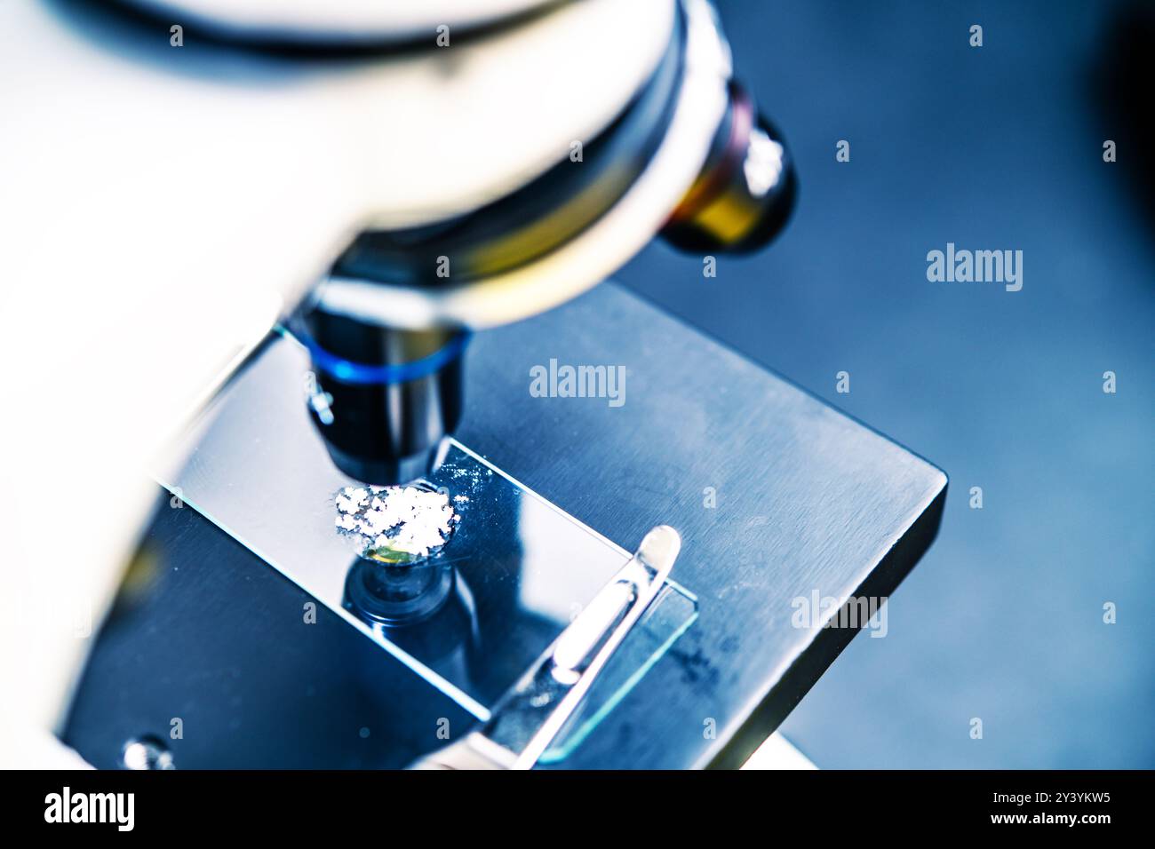 Scientists observing sample in microscope hi-res stock photography and ...