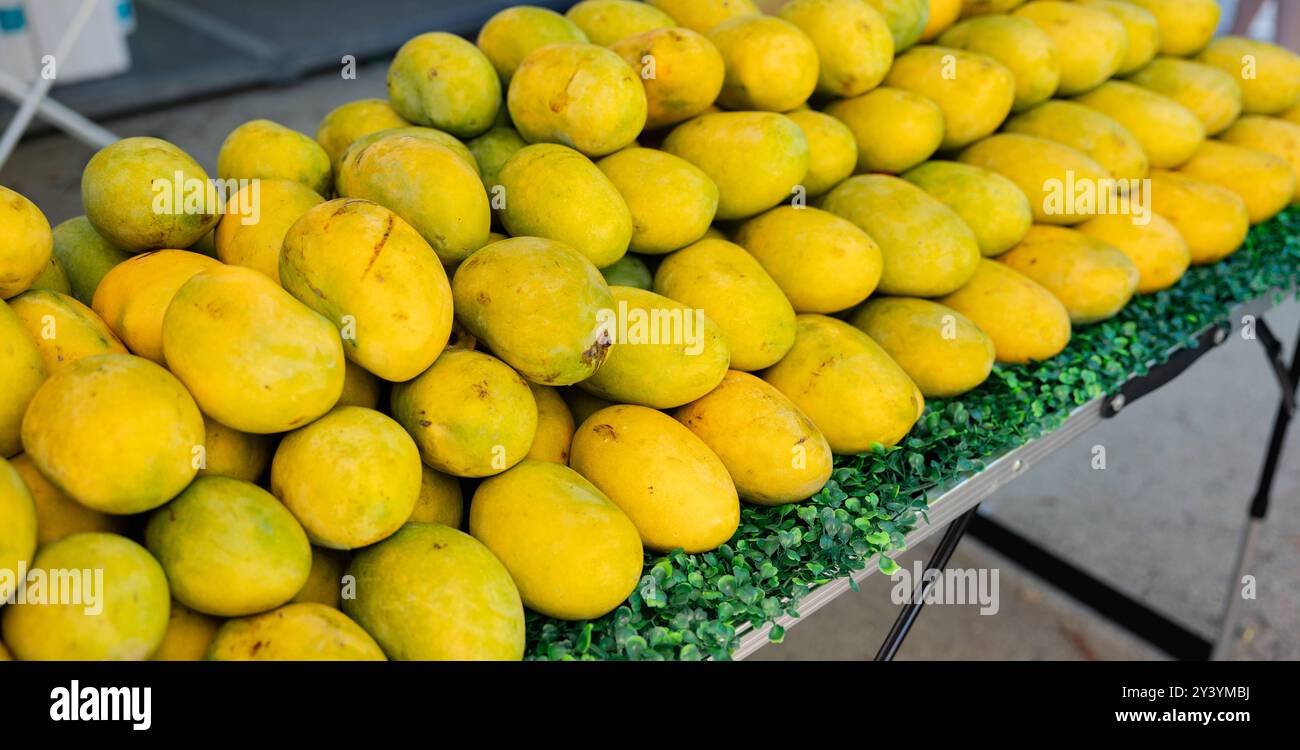 Stacked mangoes at a market stall Stacked mangoes at a market stall ...