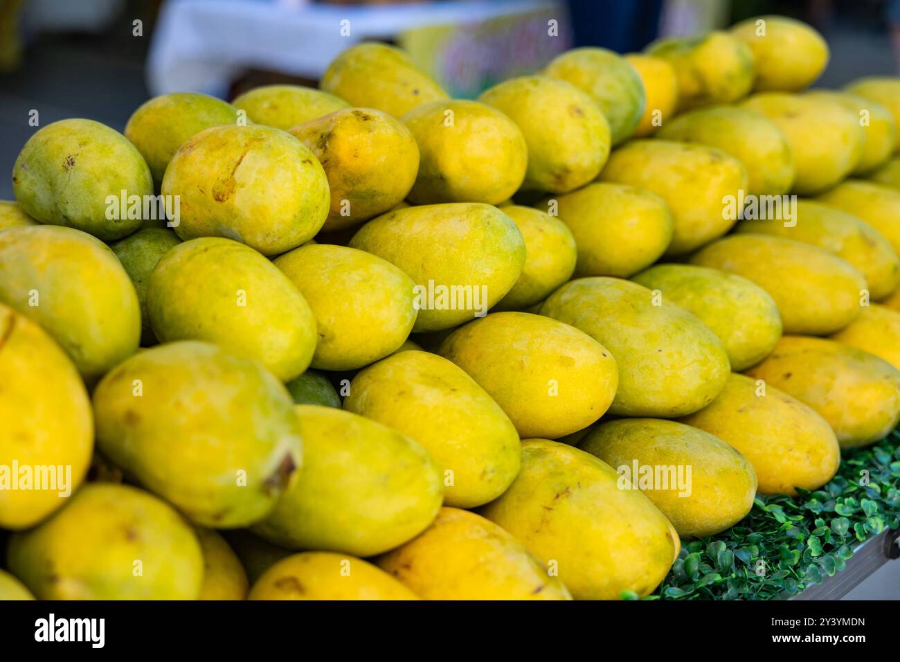 Mangoes at a market stall Mangoes at a market stall Sweet fruit, ripe ...