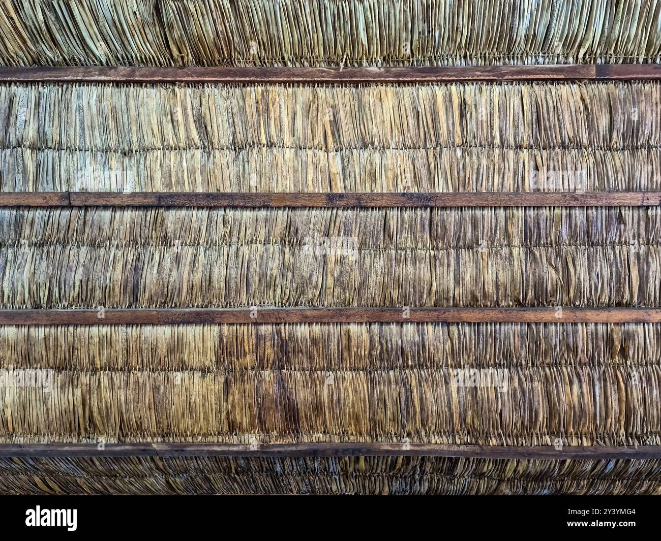 The surface of a garden wall made of reed grass Stock Photo - Alamy