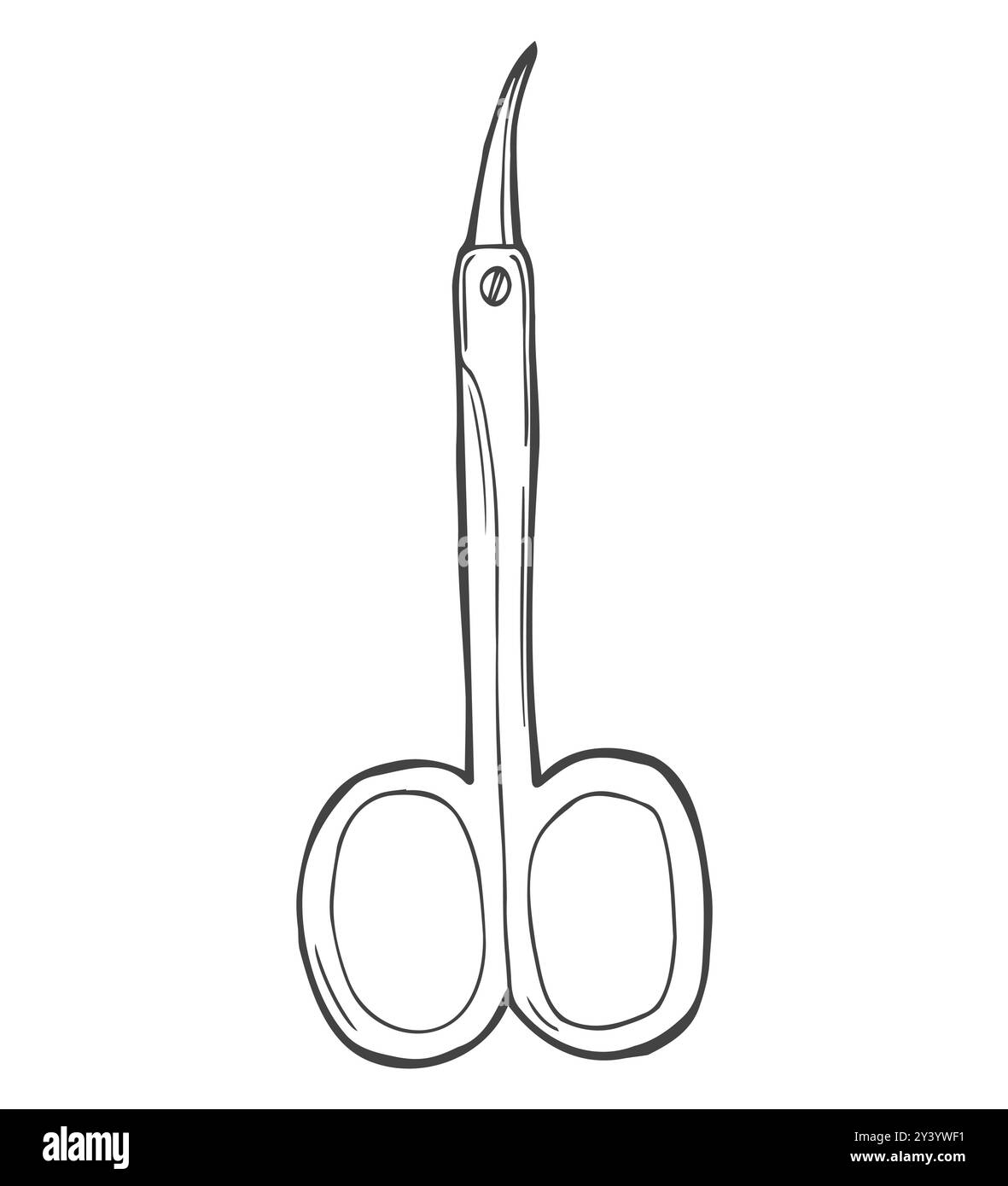 Manicure scissors vector illustration, hand drawing Stock Vector Image ...