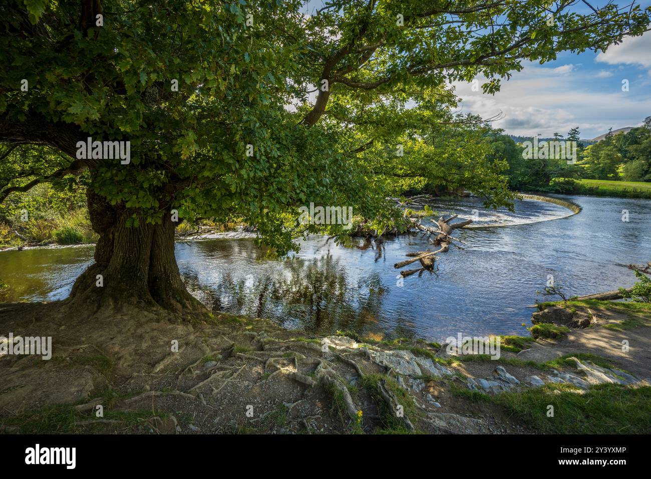 The Horseshoe Falls on the river Dee just ouside Llangollen. The weir ...