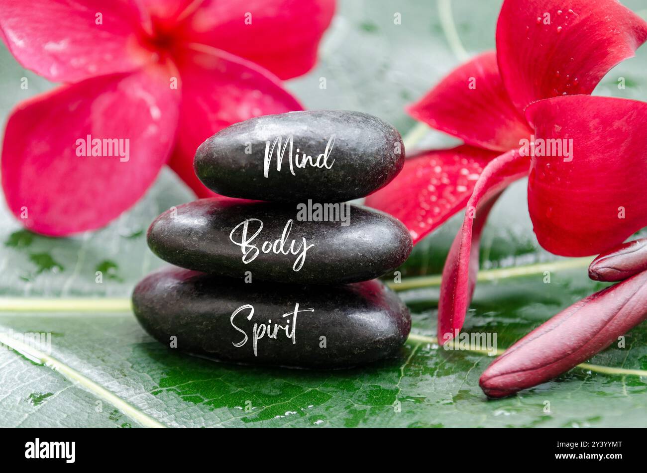 Mind body and spirit text on zen stones with zen flower background ...