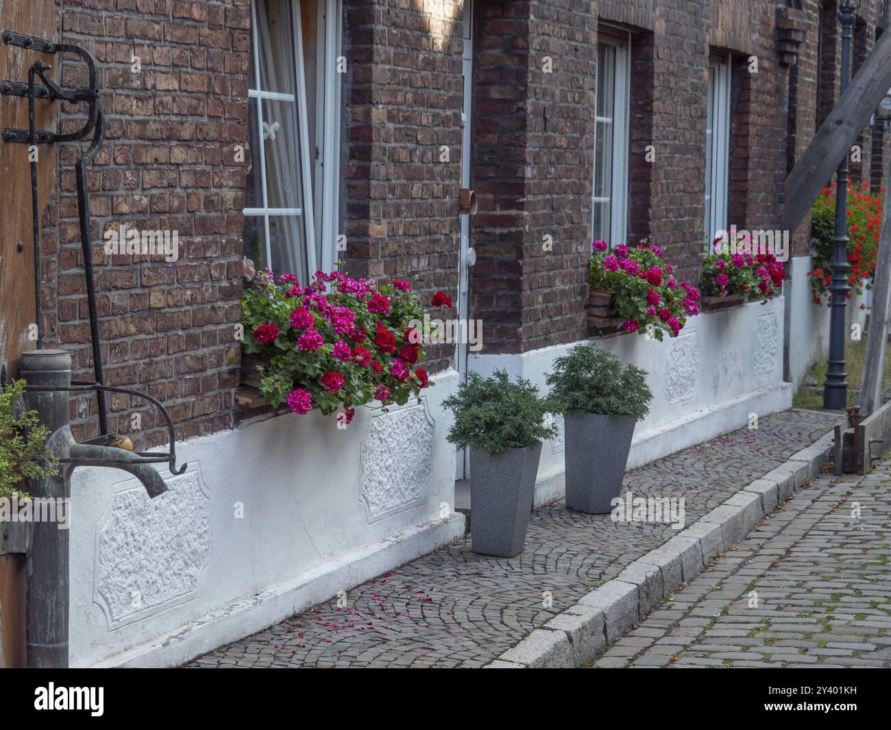Windows with colourful flowers in pots along a cobbled alley with brick ...
