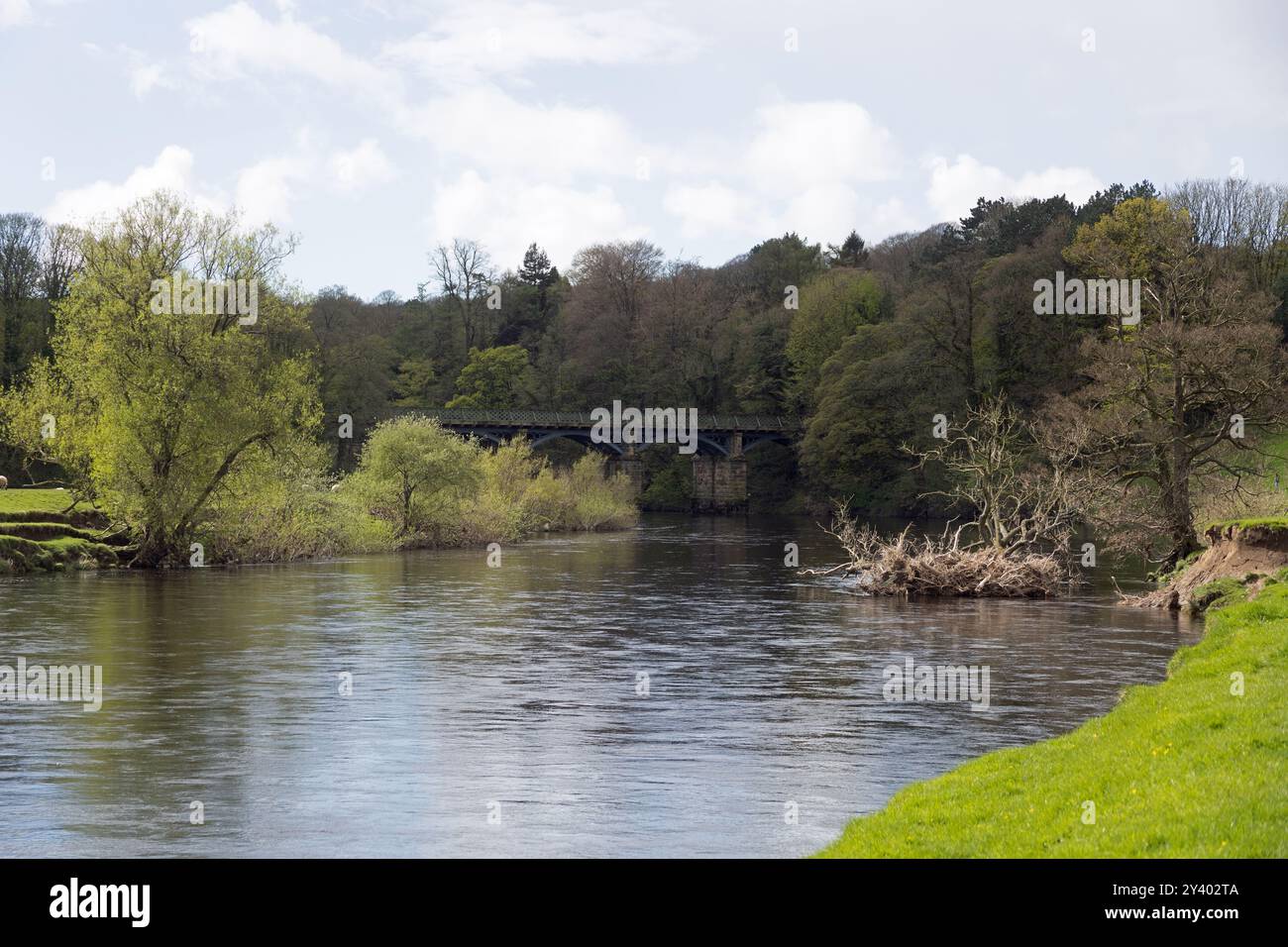 Railway viaduct now a footpath and bridal path spanning the River Lune ...