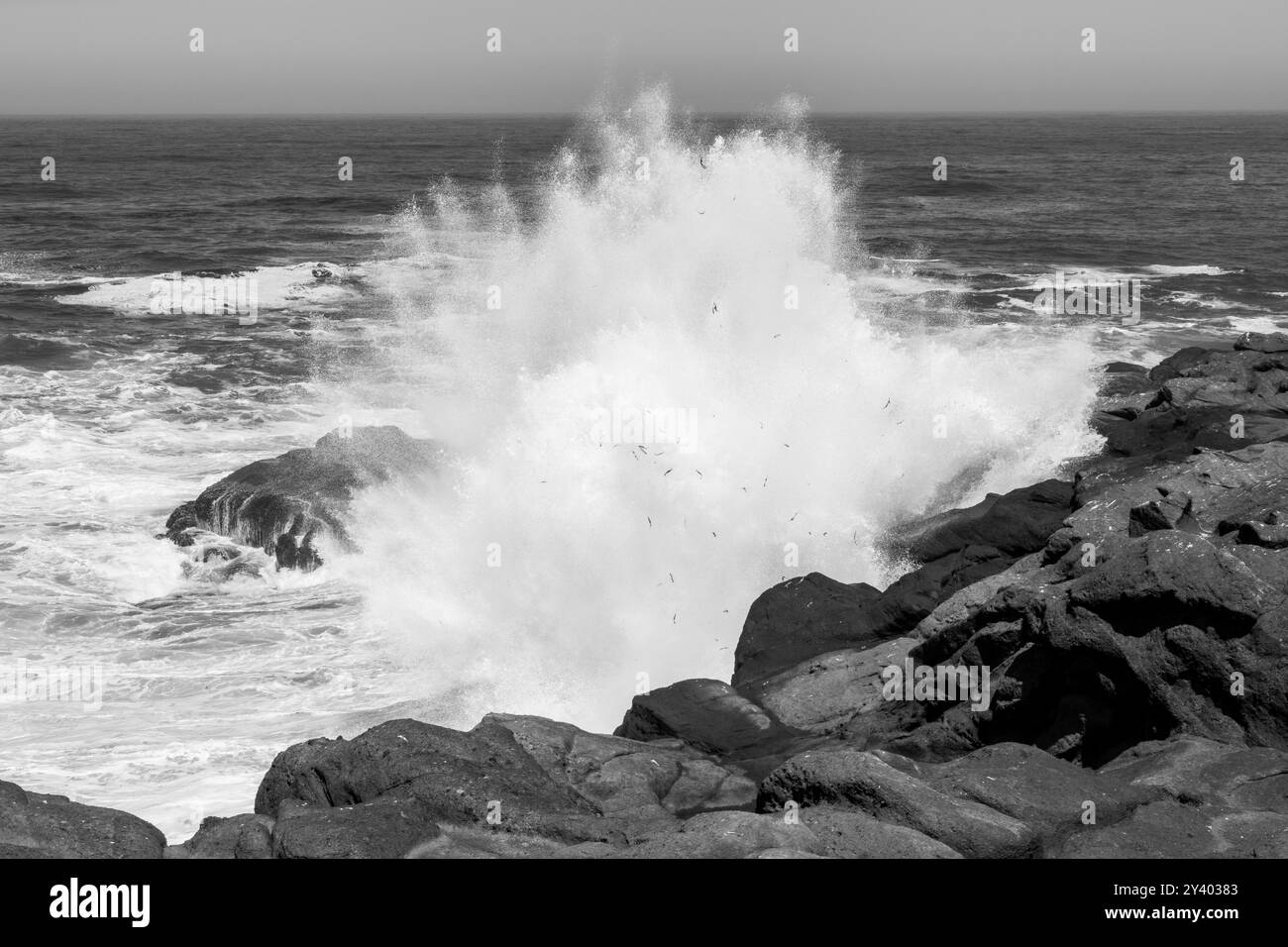 Waves Crashing on Rock, Boiler Bay State Park, Oregon Coast, USA Stock ...