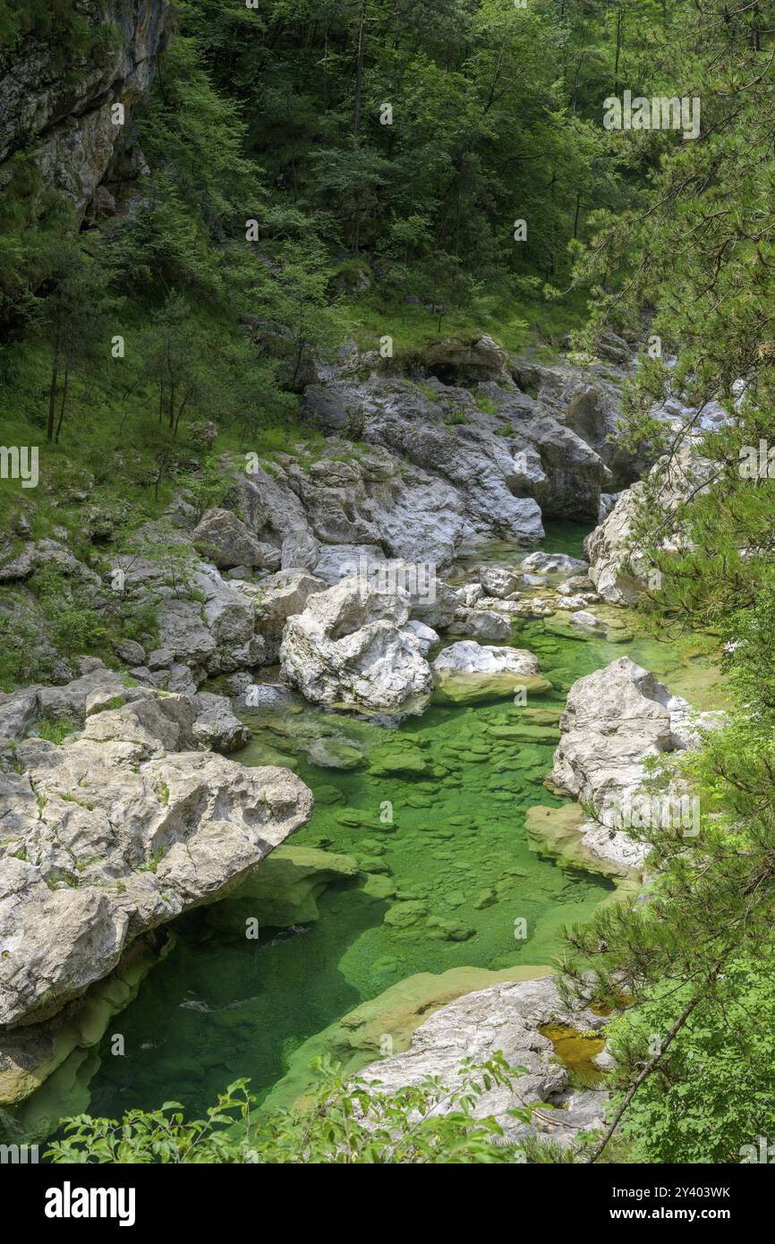 Emerald green river Pozze Smeraldine, Tramonti di Sopra, Province of ...