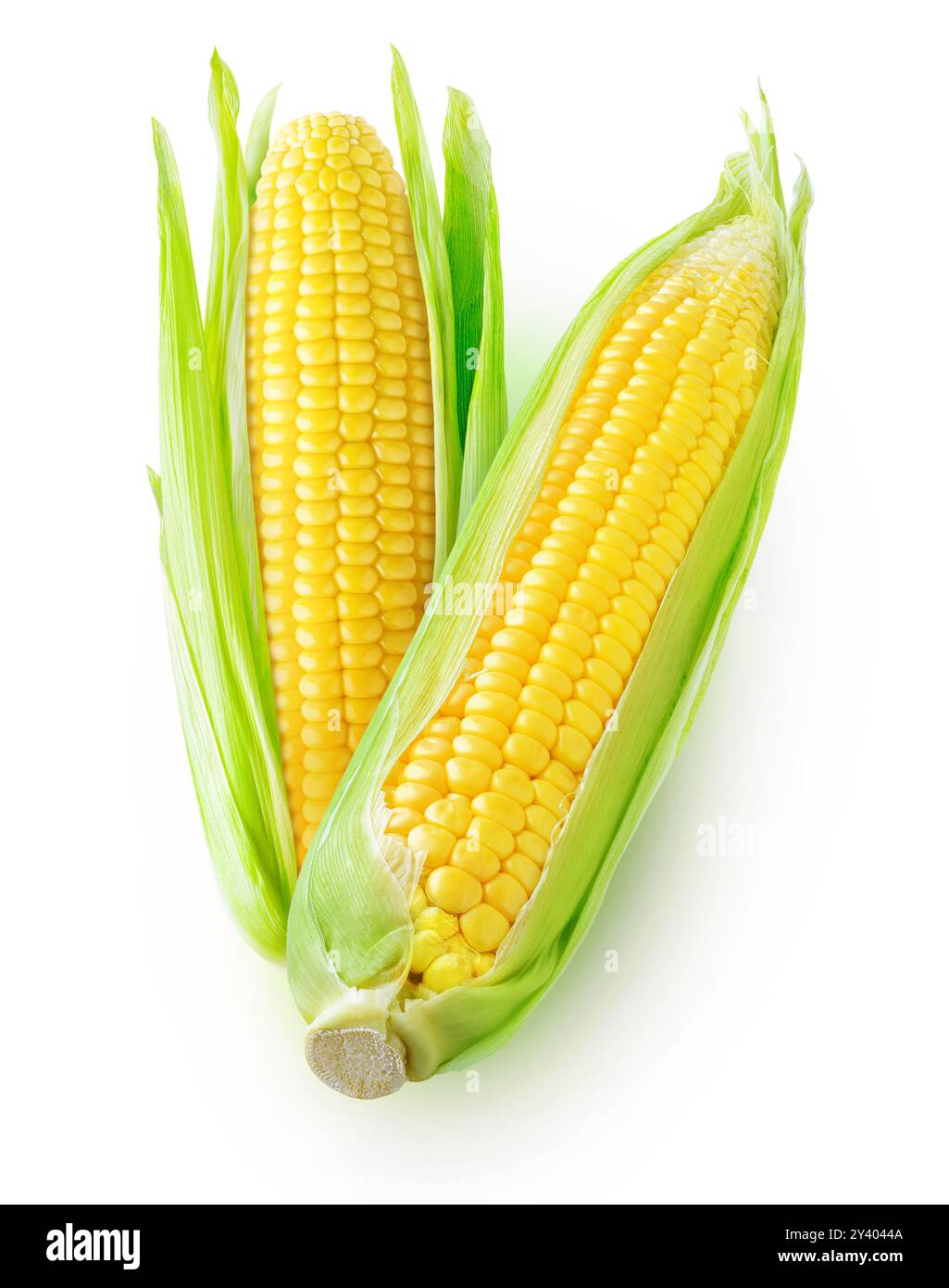 Two yellow corn cobs with leaves isolated on white Stock Photo - Alamy