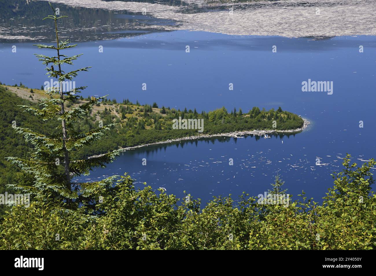 Lake in Mount St. Helens Volcanic National Monument, Oregon, USA. See ...