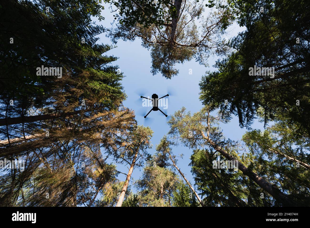 Camera flies among trees in hi-res stock photography and images - Alamy