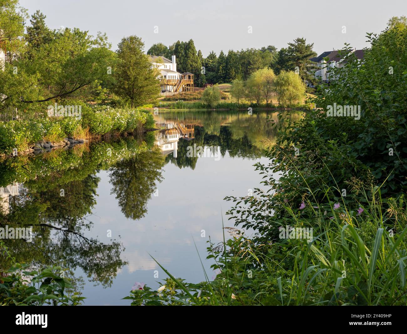 A peaceful scene of a pond reflecting the surrounding houses and ...