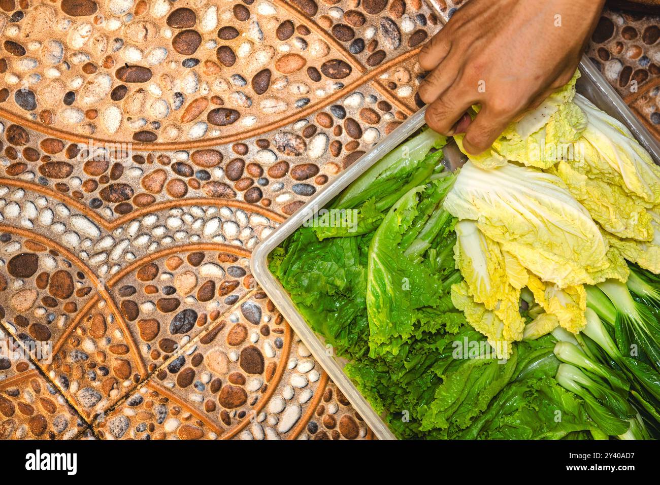 Chinese cabbage in a horizontal position in the photo from the right ...