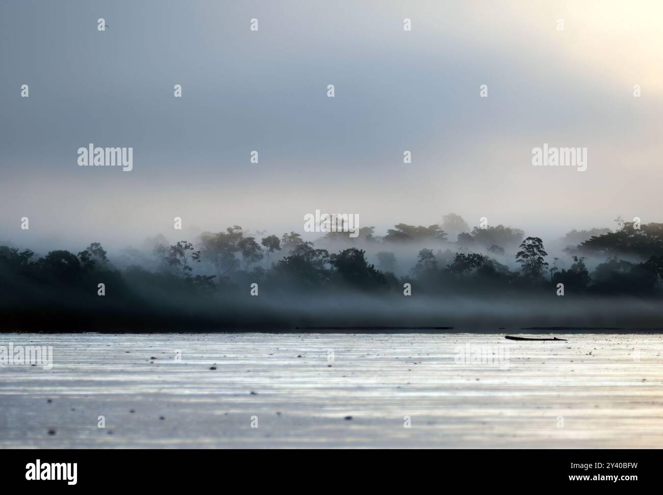 Napo River, Amazon rainforest, Yasuní National Park, Ecuador, South ...