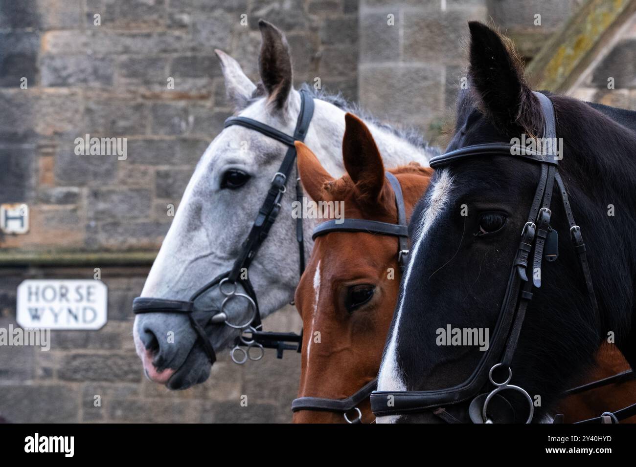 2024 edinburgh riding of the marches hi-res stock photography and ...