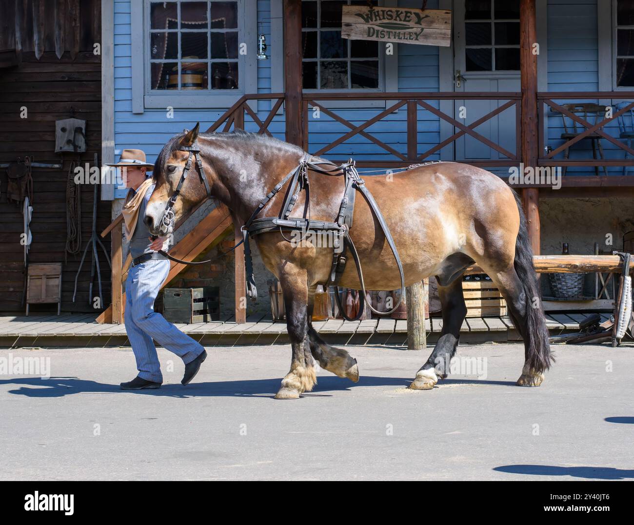 Cowboy leading horse hi-res stock photography and images - Alamy