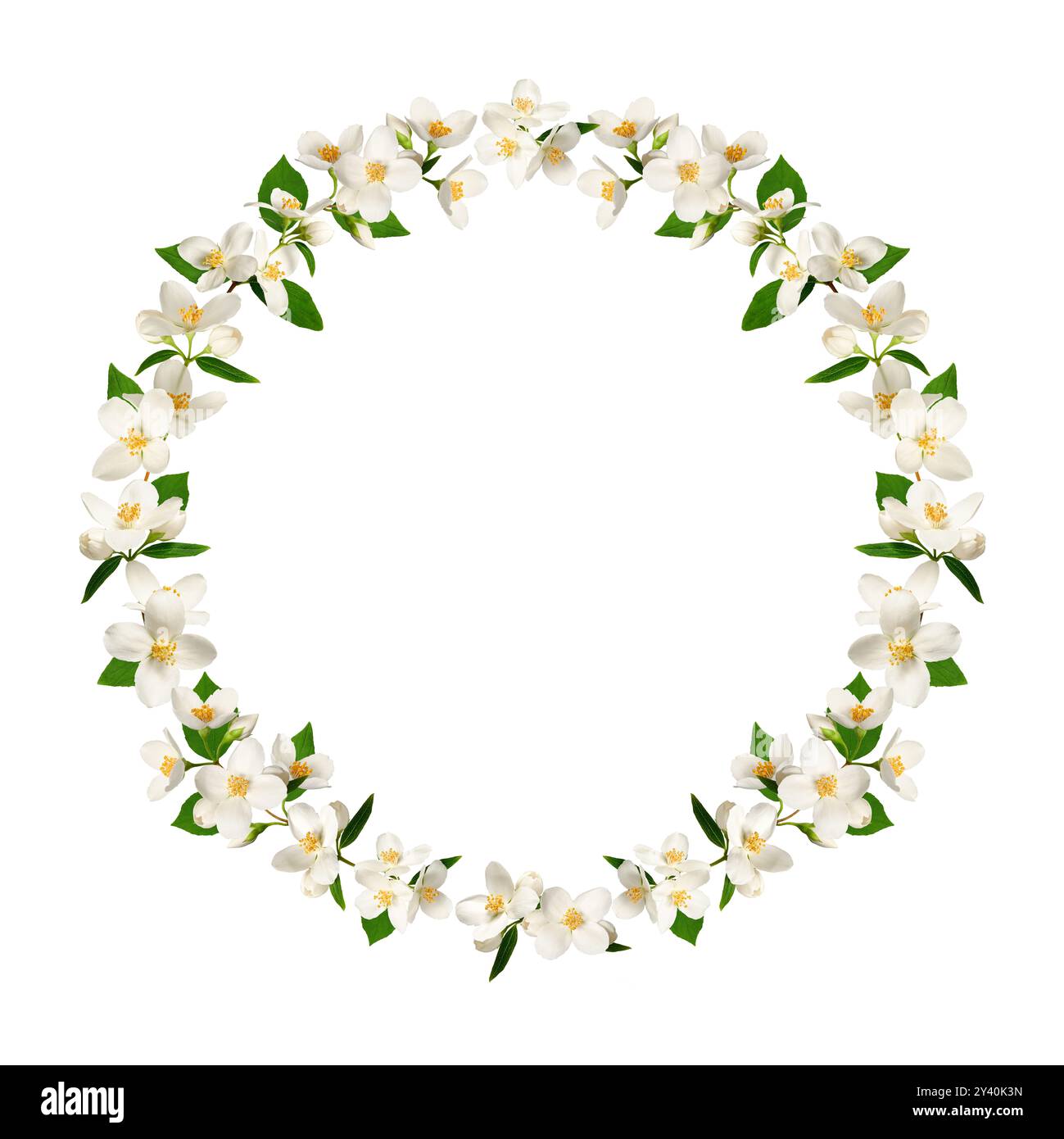 Wreath, round frame of jasmine flowers. Element for creating designs ...