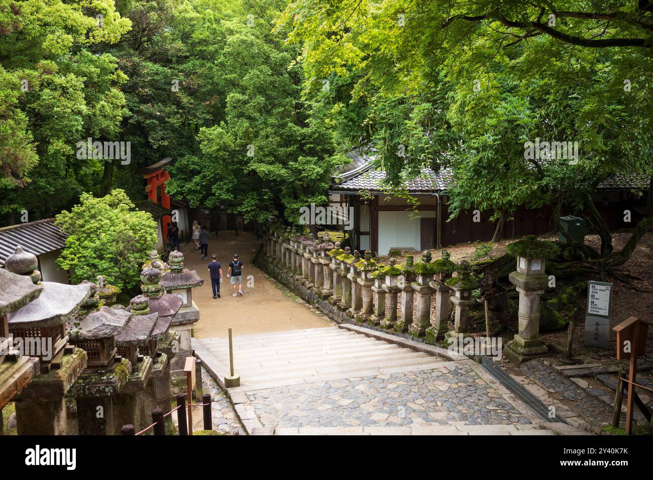 Nara, Japan, June 18, 2024: Exploring the colorful Kasuga Taisha Shrine ...