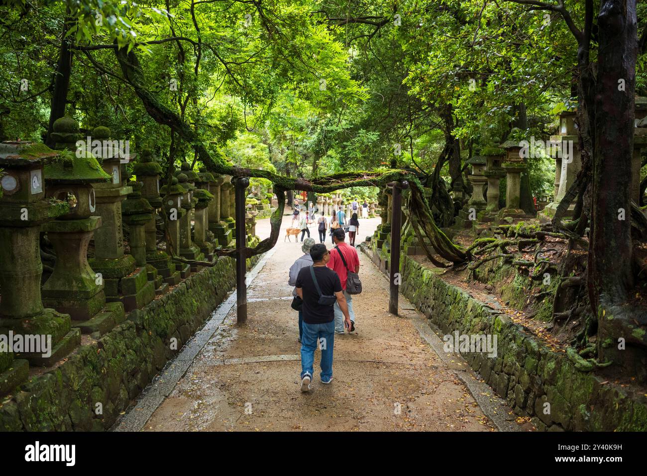 Nara, Japan, June 18, 2024: Exploring the colorful Kasuga Taisha Shrine ...