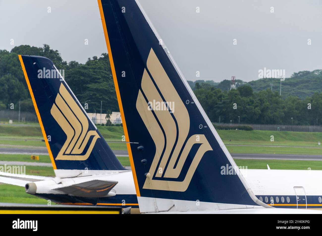 Two tail fins of the Singapore Airlines logo Stock Photo - Alamy