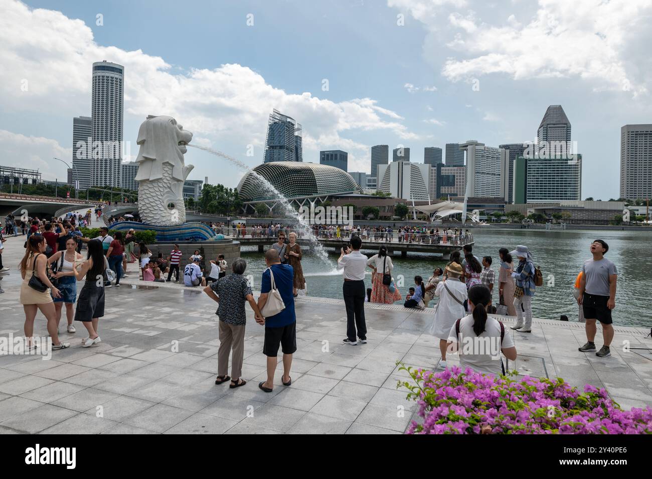 Merlion statue national symbol singapore hi-res stock photography and ...