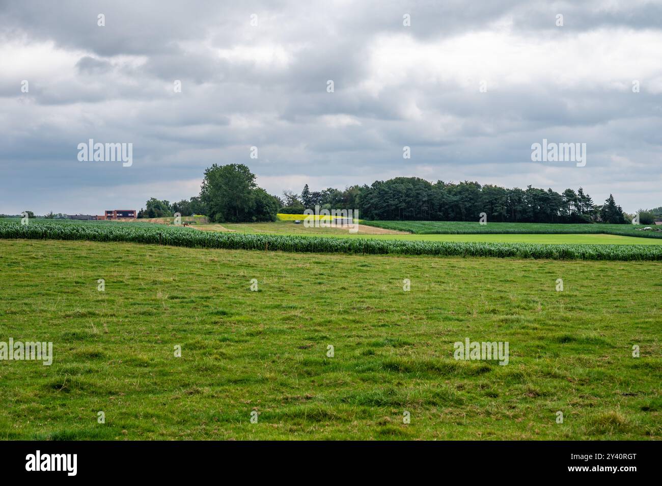 Green fields and hills at the Flemish countryside in Boutersem, Flemish ...