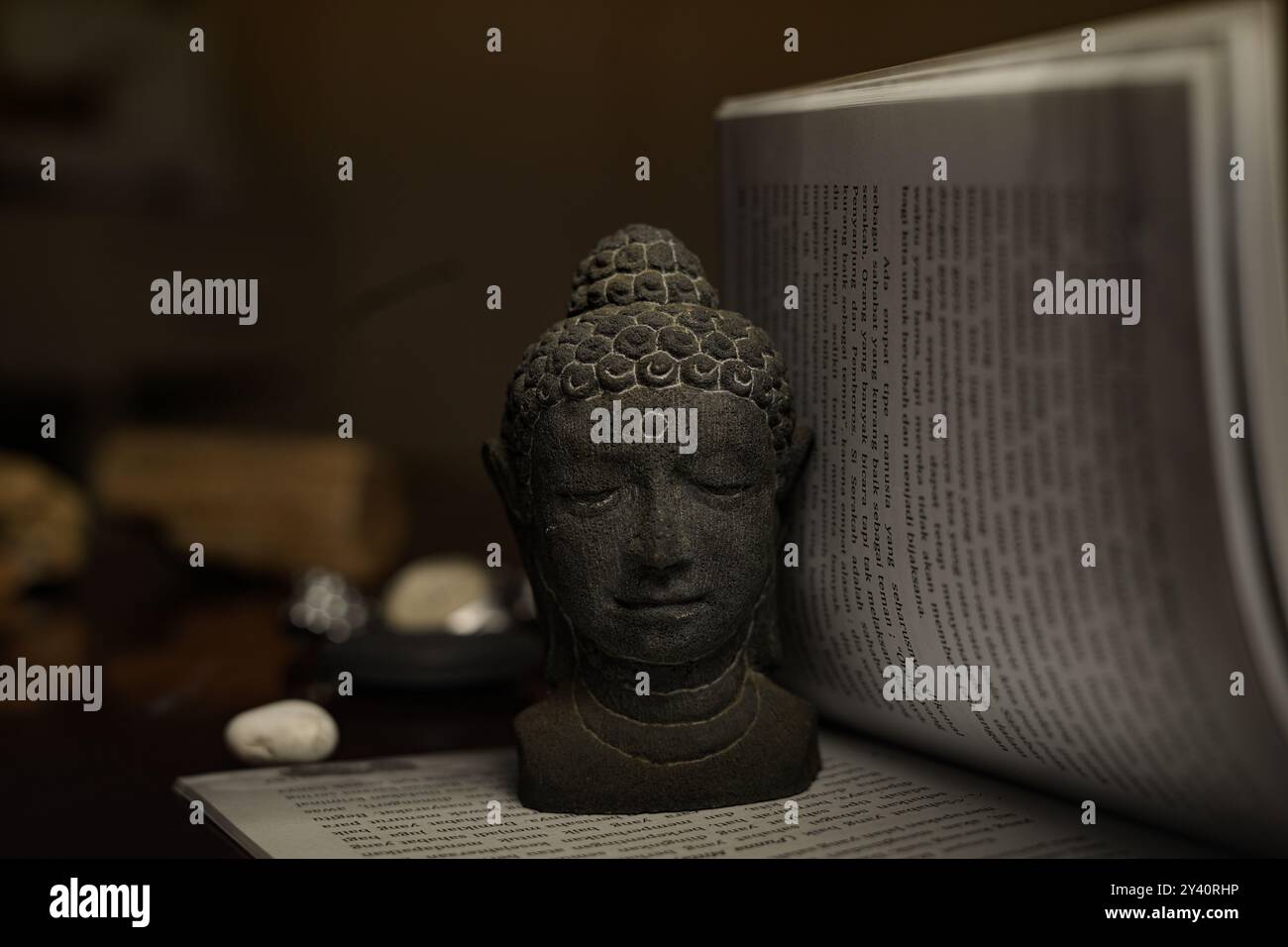 photographing a buddha statue named Siddhartha Gautama which is the ...