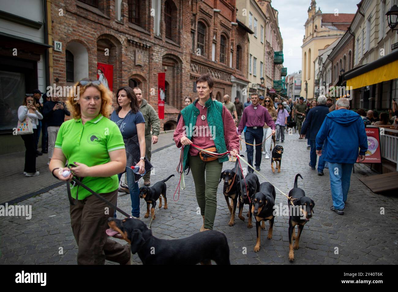 People with hunting dogs walk through the old town during the ...